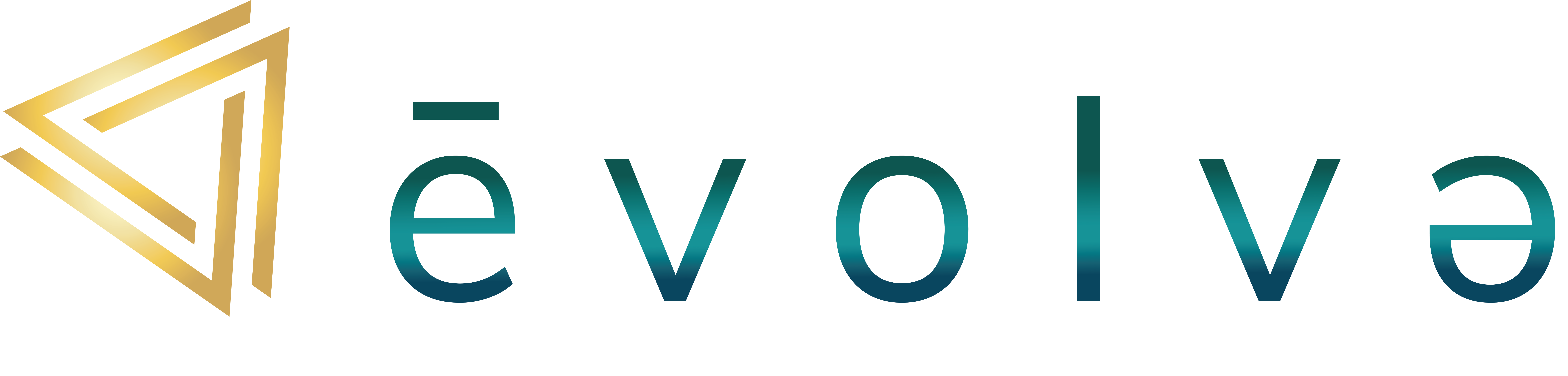 Home [www.evolve-collective.com]